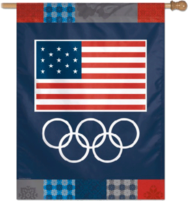 Download Usoc Olympic Rings Banner - Usa Flag Olympics PNG Image with ...