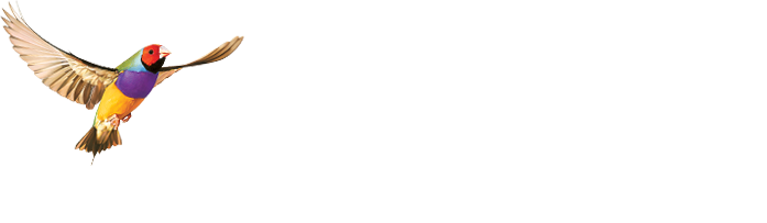 Download Bbc Radio 4 Logopedia PNG Image with No Background - PNGkey.com