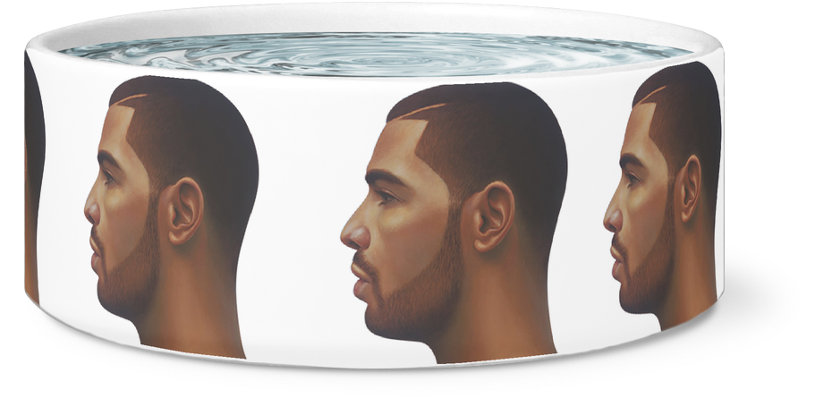 Download Drake Face Dog Bowl - Fitness Professional PNG Image with No ...