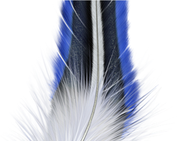 Download Quill Clipart Pluma - Pluma Azul Png PNG Image with No ...