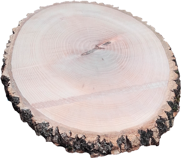 Download Rodajas De Madera - Rodajas De Madera Png PNG Image with No ...