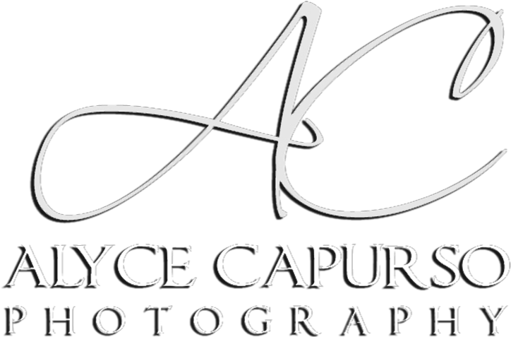 Download Alycecapurso - Com - Au - Calligraphy PNG Image with No ...