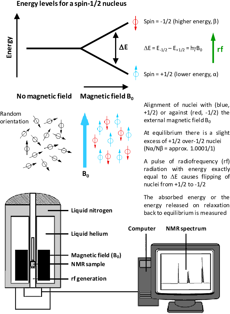 Download The Basic Nmr Experiment With A Spin-1/2 Nucleus - Spin 1 2 ...