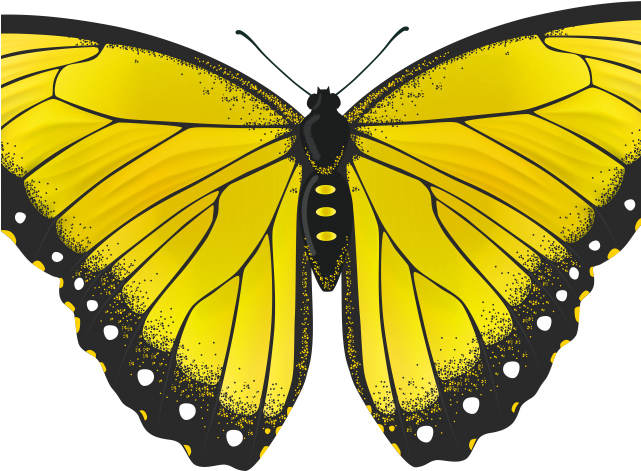 Monarch Butterfly Clipart Png Full Hd - Yellow Monarch Butterfly Png ...