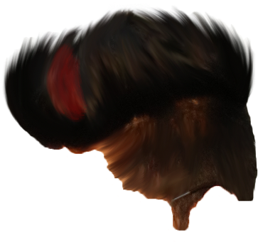 Download Hair Png Download - Fur PNG Image with No Background - PNGkey.com