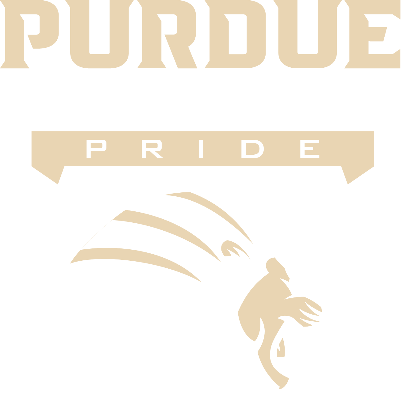 Download Download Png Format Informal University Mark - Poster PNG ...