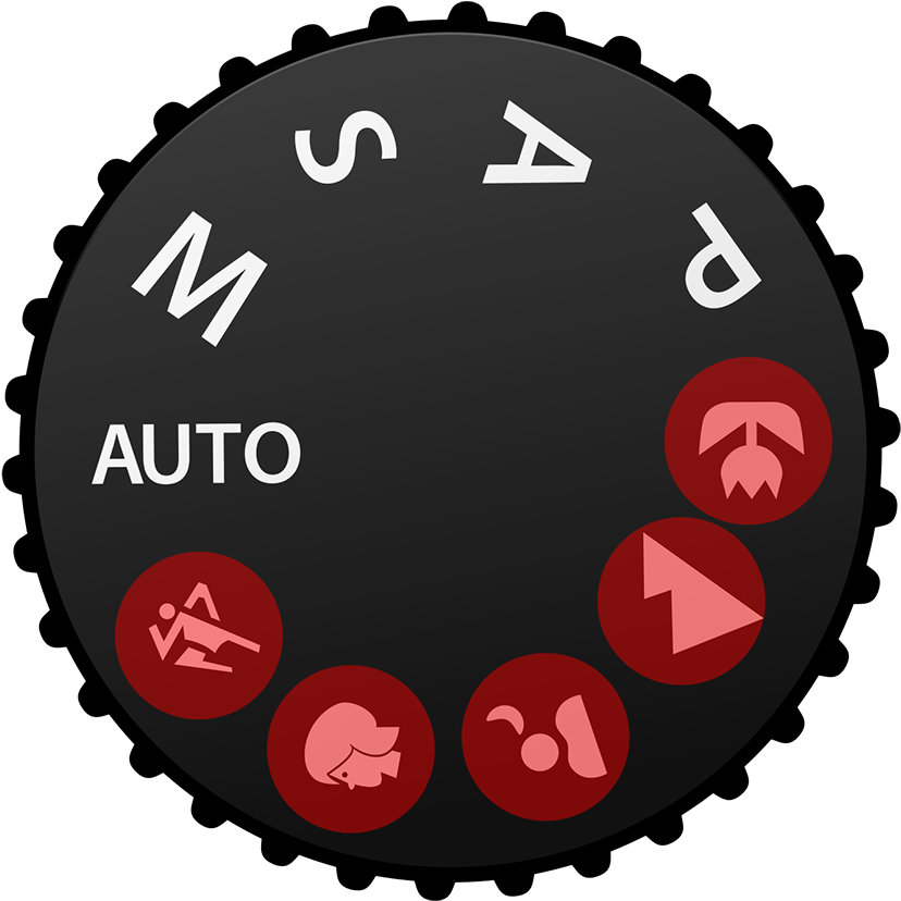 Download Camera Icon Modes - Landscape Mode On Camera PNG Image with No ...