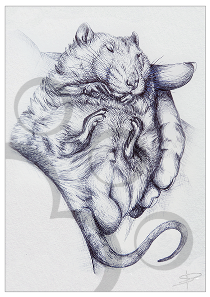 Download Balor - Dragon PNG Image with No Background - PNGkey.com