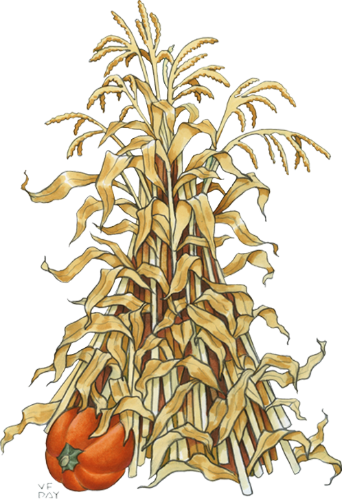 Corn Stalk Png - Corn Stalk Png Painting - Free Transparent PNG ...