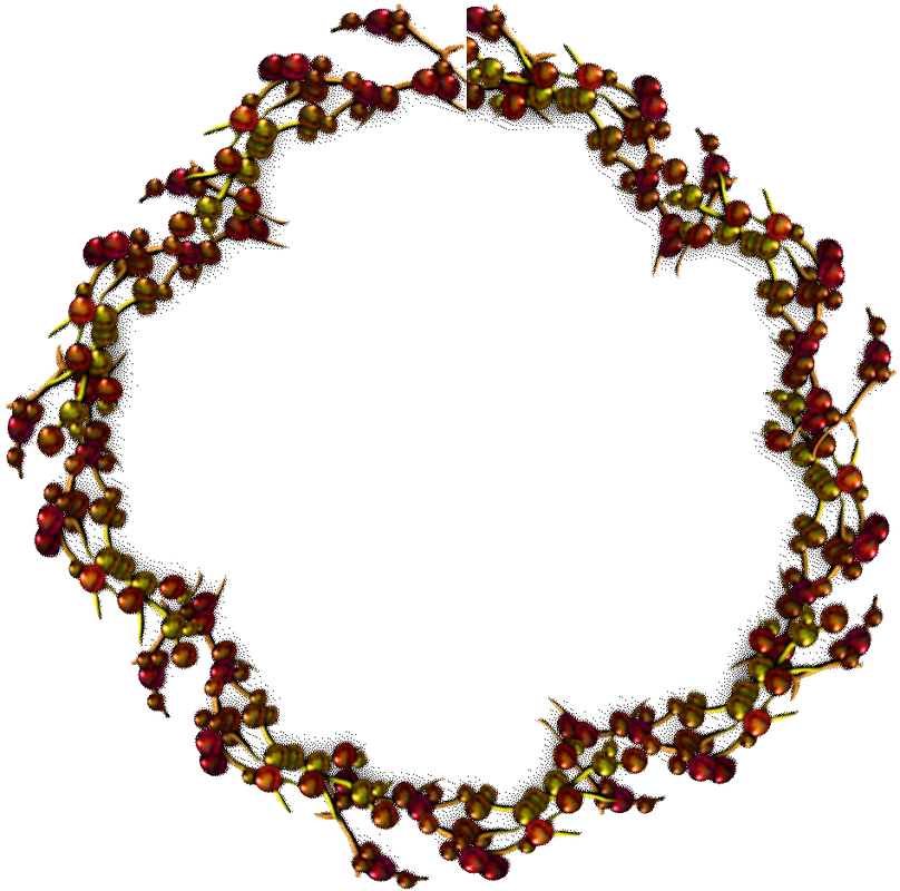 Download Round Berry Frame - Circle PNG Image with No Background ...