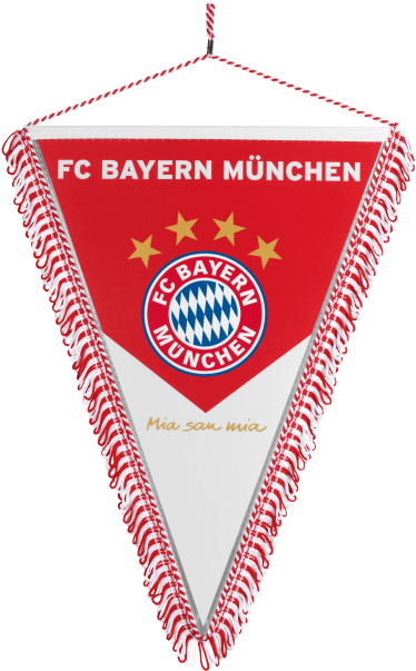 Download Bayern Munich PNG Image with No Background - PNGkey.com
