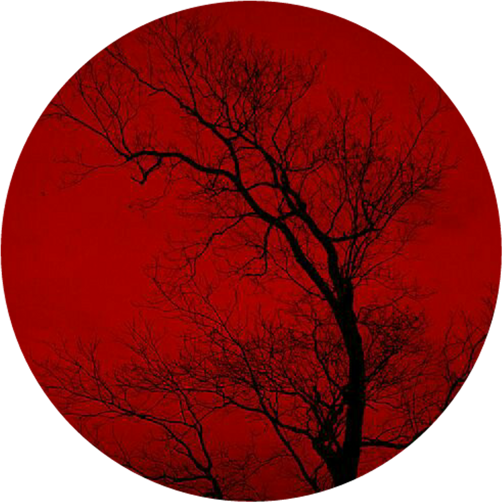 Download Red Sticker - Circle PNG Image with No Background - PNGkey.com