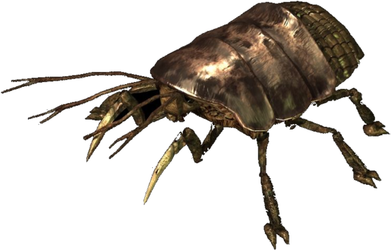 Giant Cockroach - Fallout Radroach - Free Transparent PNG Download - PNGkey