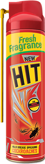 Download Lal Hit - Kala Hit Cockroach PNG Image with No Background ...