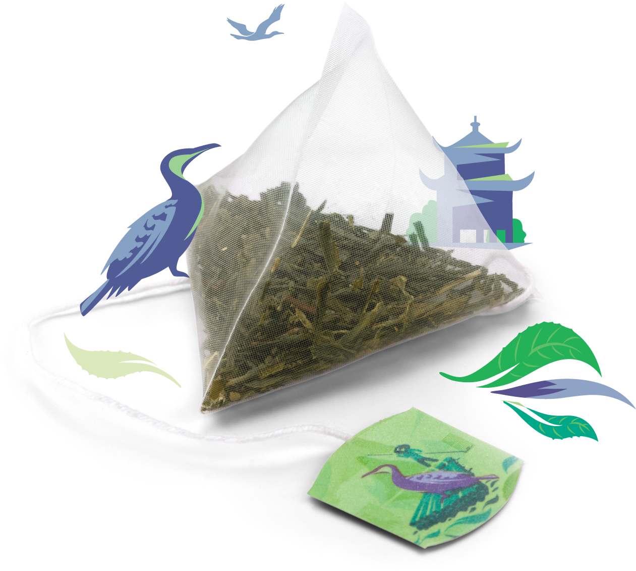 Download Discovery Collection Pure Sencha Green Tea - Earl Grey Tea PNG ...