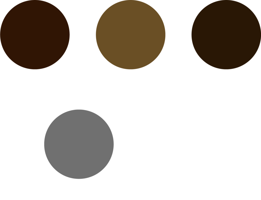 Download Color Options - Circle PNG Image with No Background - PNGkey.com