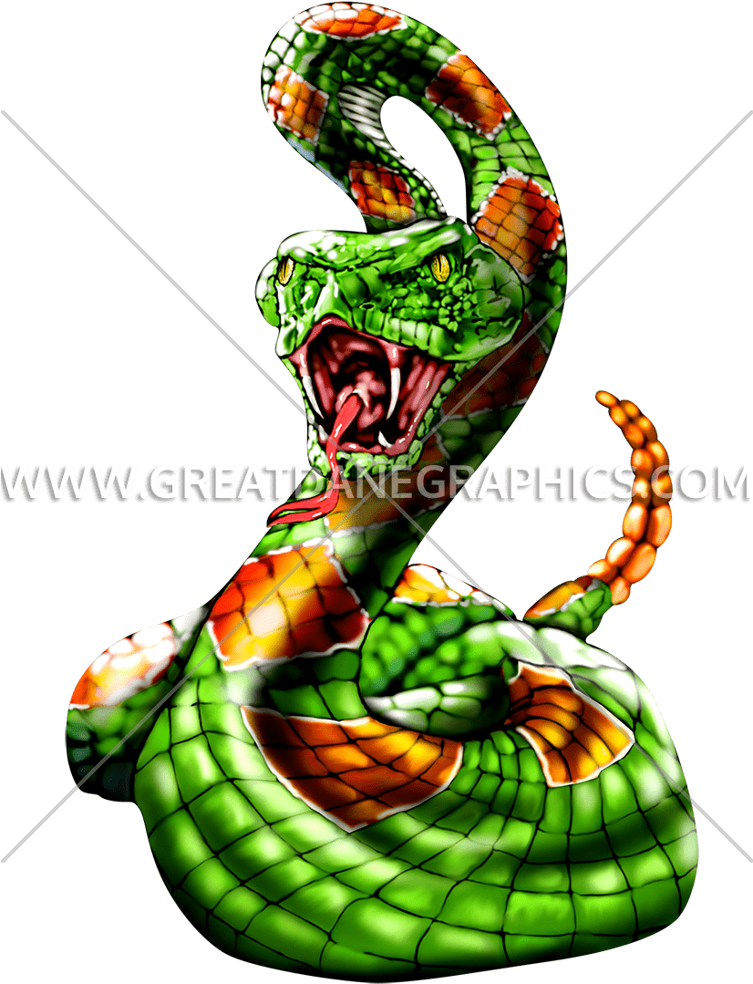 Download Green Snake Png - Snakes PNG Image with No Background - PNGkey.com