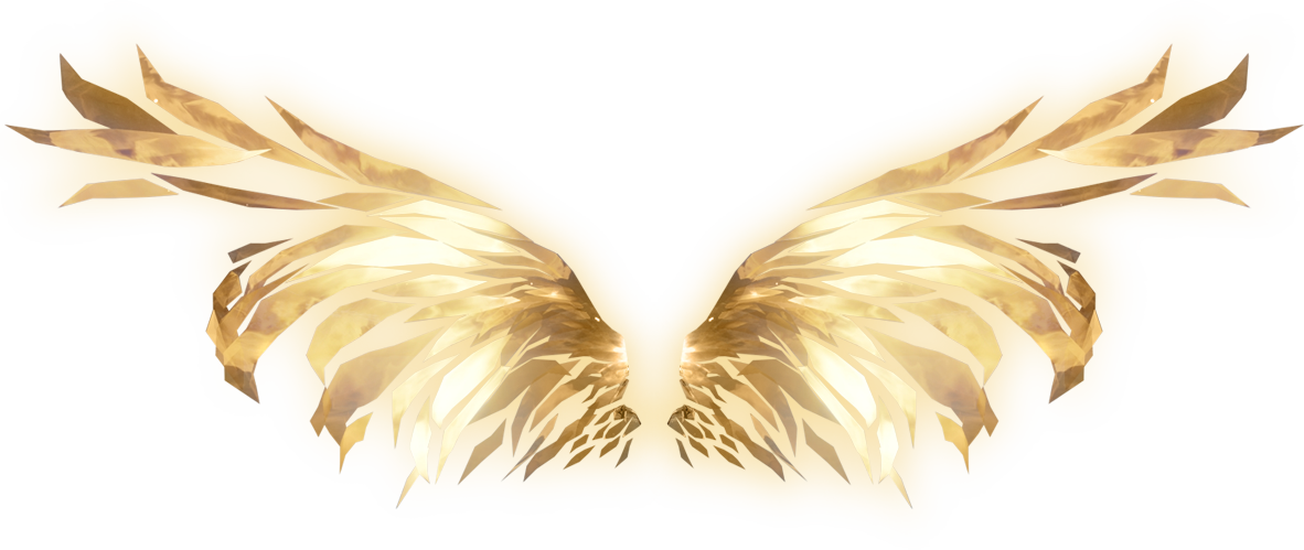 Download Collect Your Gift - Illustration PNG Image with No Background ...