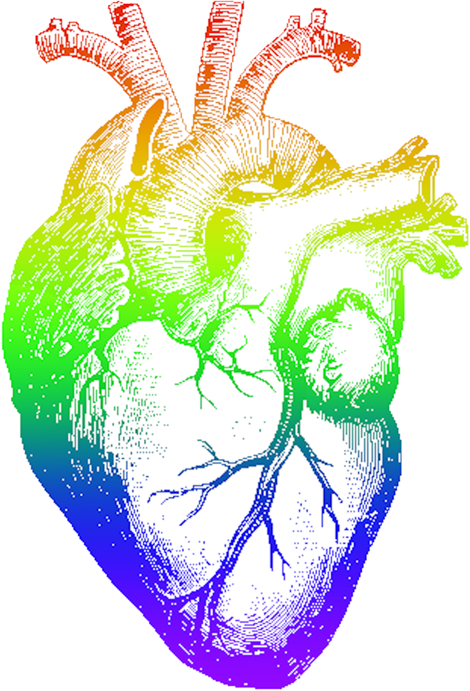 Download Rainbow Heart PNG Image with No Background - PNGkey.com