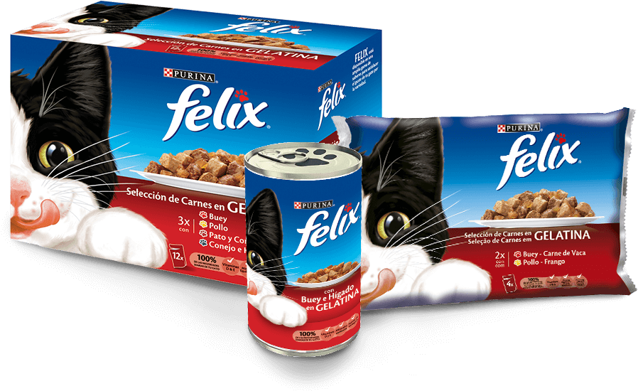 Download Subbrands Of Felix - Felix Productos PNG Image with No ...