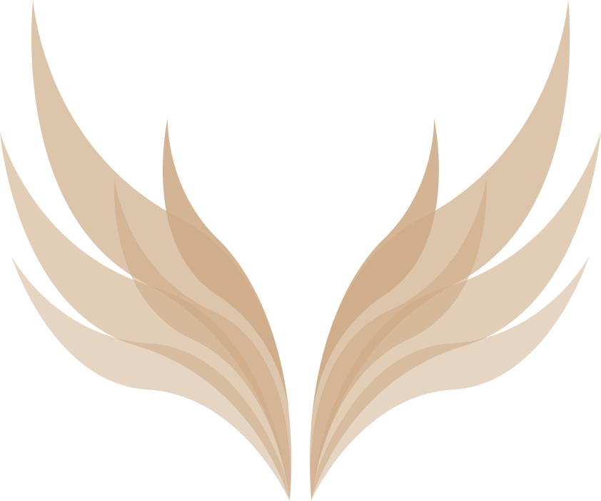 Download Valkyrie Wings Png PNG Image with No Background - PNGkey.com