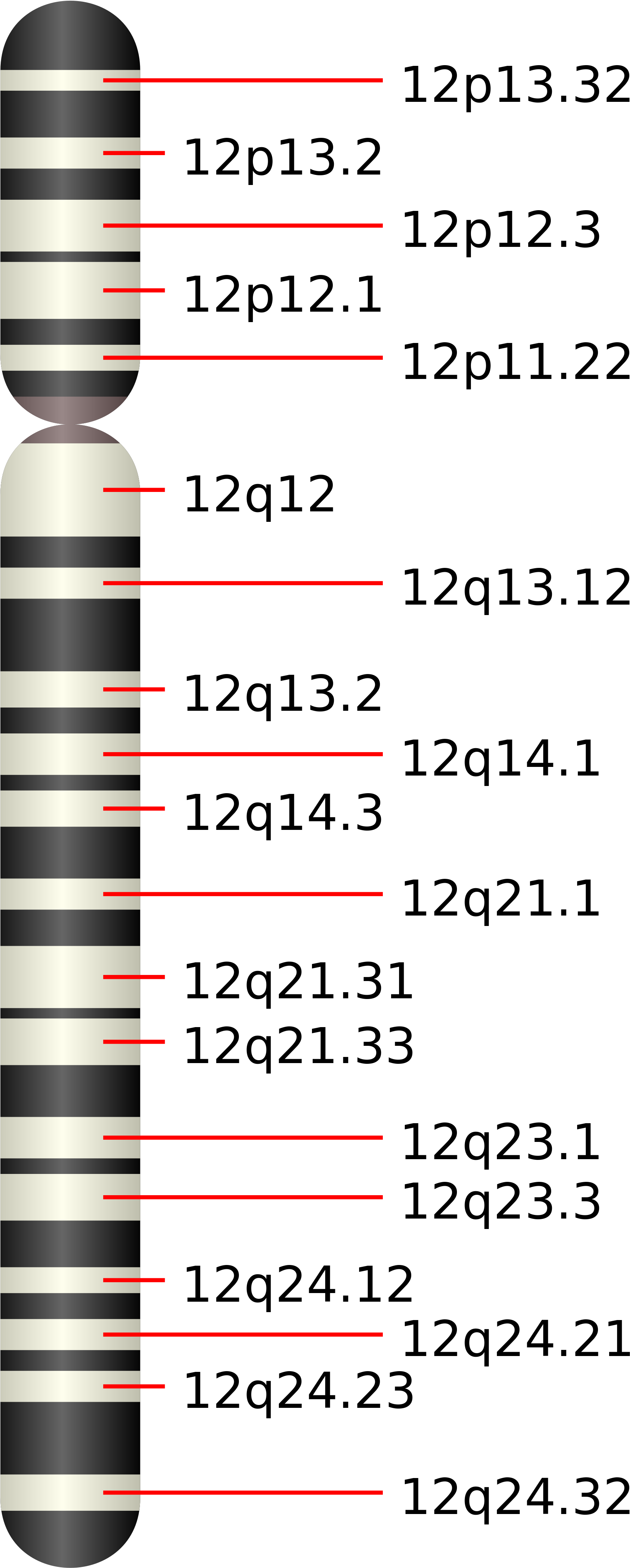 Download Open - Chromosome 6q21 PNG Image with No Background - PNGkey.com