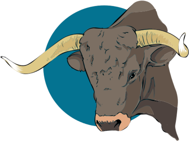 Bull Clipart Bull Head - Free Transparent PNG Download - PNGkey