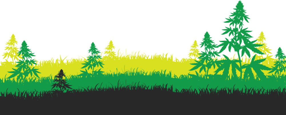 Download High Quality Cannabis Strains - Illustration PNG Image with No ...