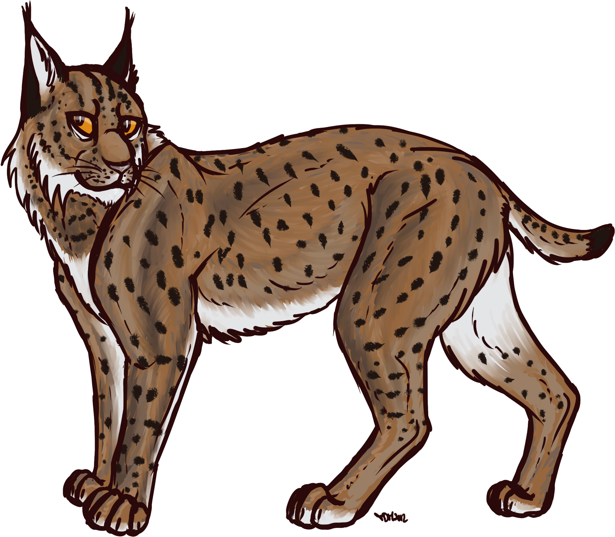 Download Lynx Transparent - Canadian Lynx Clipart PNG Image with No ...