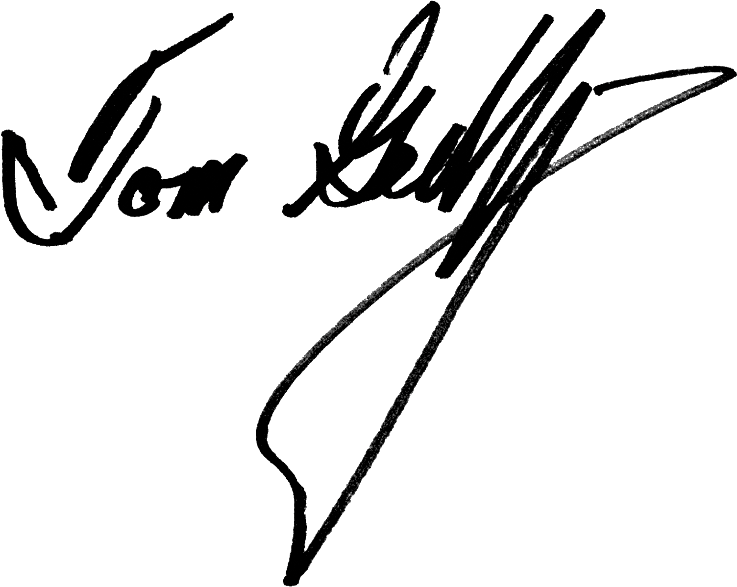 Download Tom - Tom Cruise Signature PNG Image with No Background ...