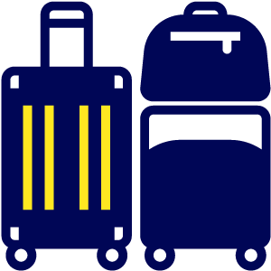 Download Additional Luggage - Maleta De 158 Cm Lineales PNG Image with ...