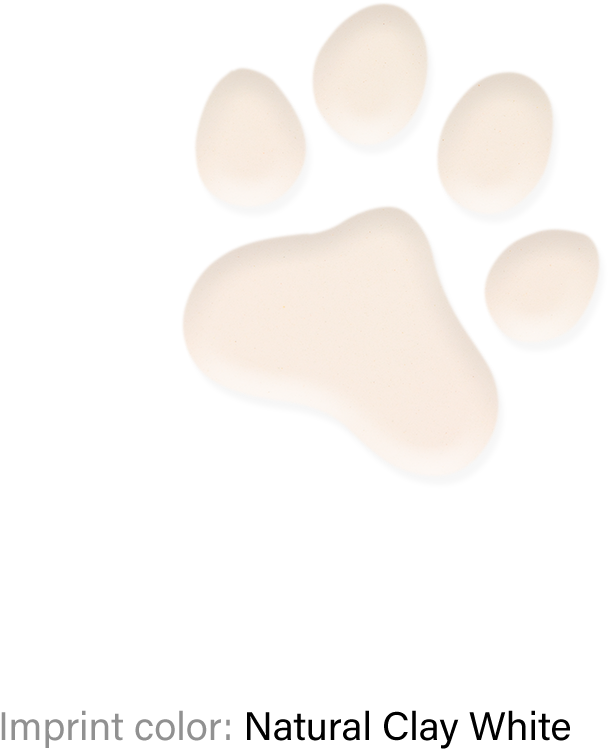 Download Footprint PNG Image with No Background - PNGkey.com
