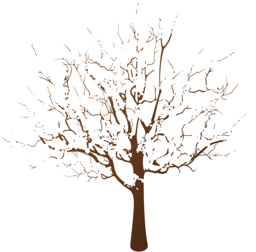 Download Free Png Winter Tree Transparent Png - Winter Tree Clipart Png ...