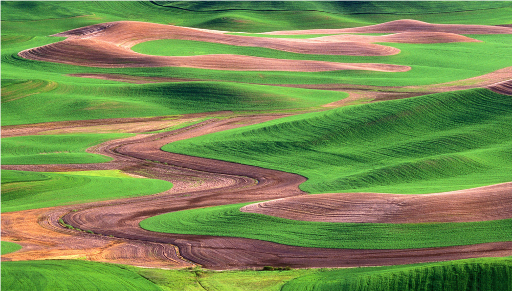 Download Score 50% - Wallpaper PNG Image with No Background - PNGkey.com