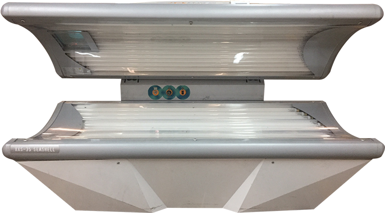 Download Soltron Seashell - Shelf PNG Image with No Background - PNGkey.com