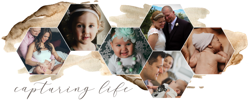 Download Megan Christine Photography Hexagon Header Denver Photographer ...