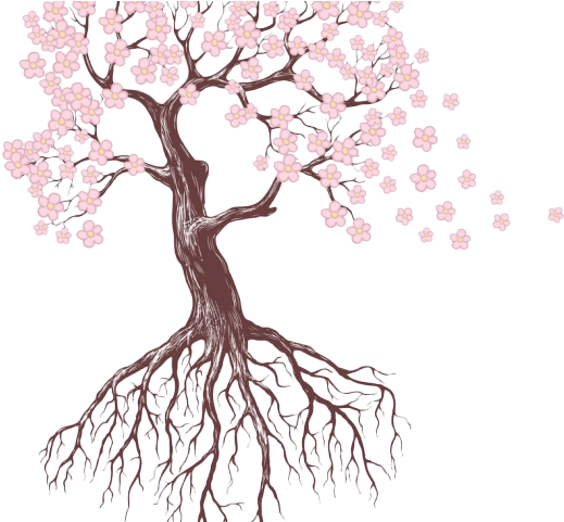 Drawn Roots Sakura Tree - Flowers And Trees Drawings - Free Transparent ...
