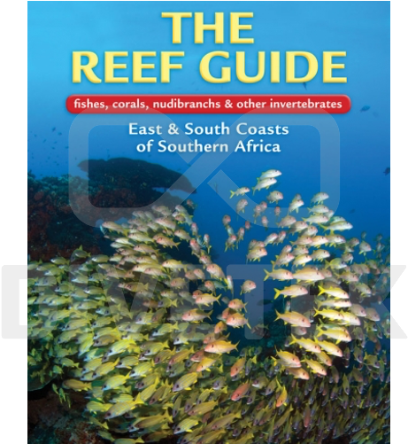 The Reef Guide - Reef Guide - Free Transparent PNG Download - PNGkey