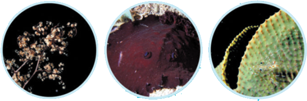 Download Image - Interstate 69 PNG Image with No Background - PNGkey.com