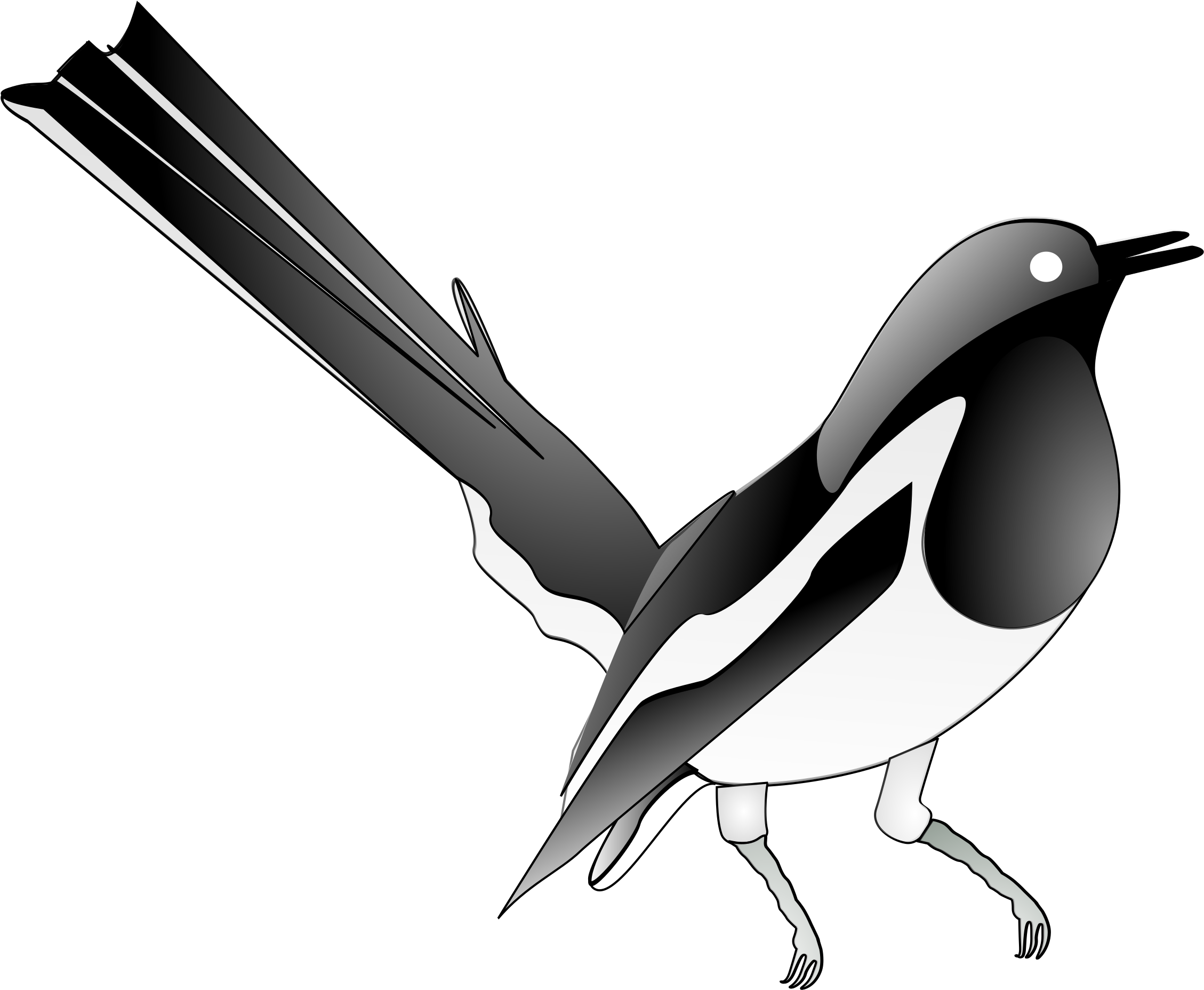 Download This Free Icons Png Design Of Oriental Magpie Robin PNG Image ...