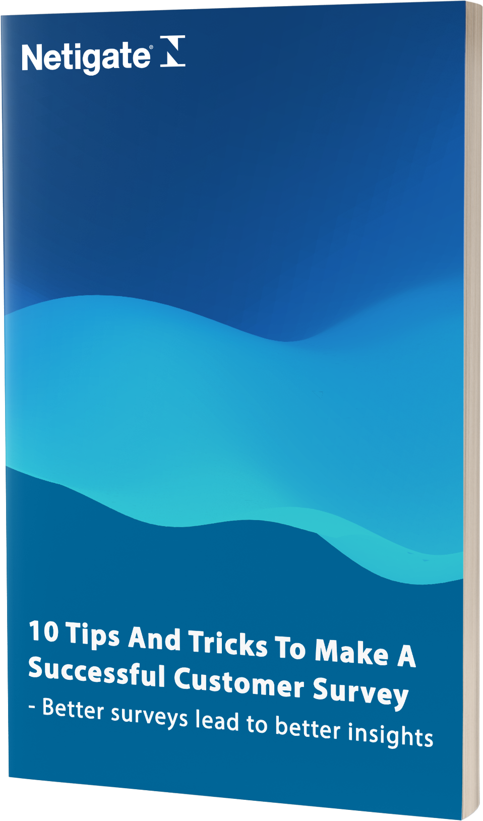 Download 10 Tips And Tricks To Make A Successful Customer Survey ...