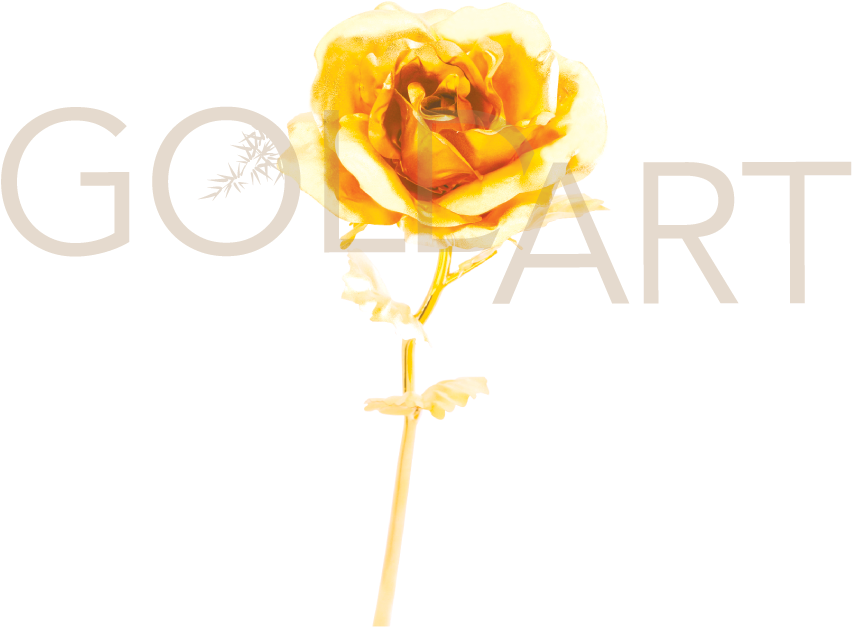 Download Gold Rose - Garden Roses PNG Image with No Background - PNGkey.com