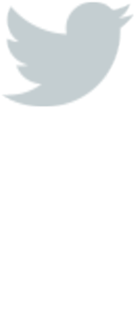 Download Twitter PNG Image with No Background - PNGkey.com