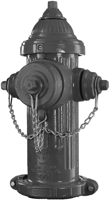 Download Sentinel 250™ Fire Hydrant PNG Image with No Background ...