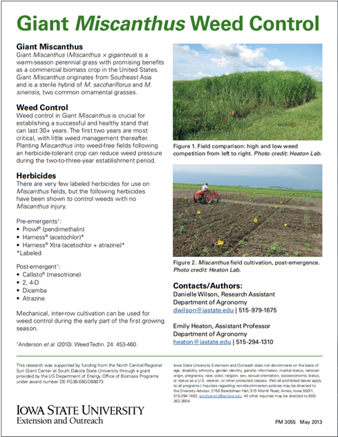 Download 1 Alt - Tree PNG Image with No Background - PNGkey.com