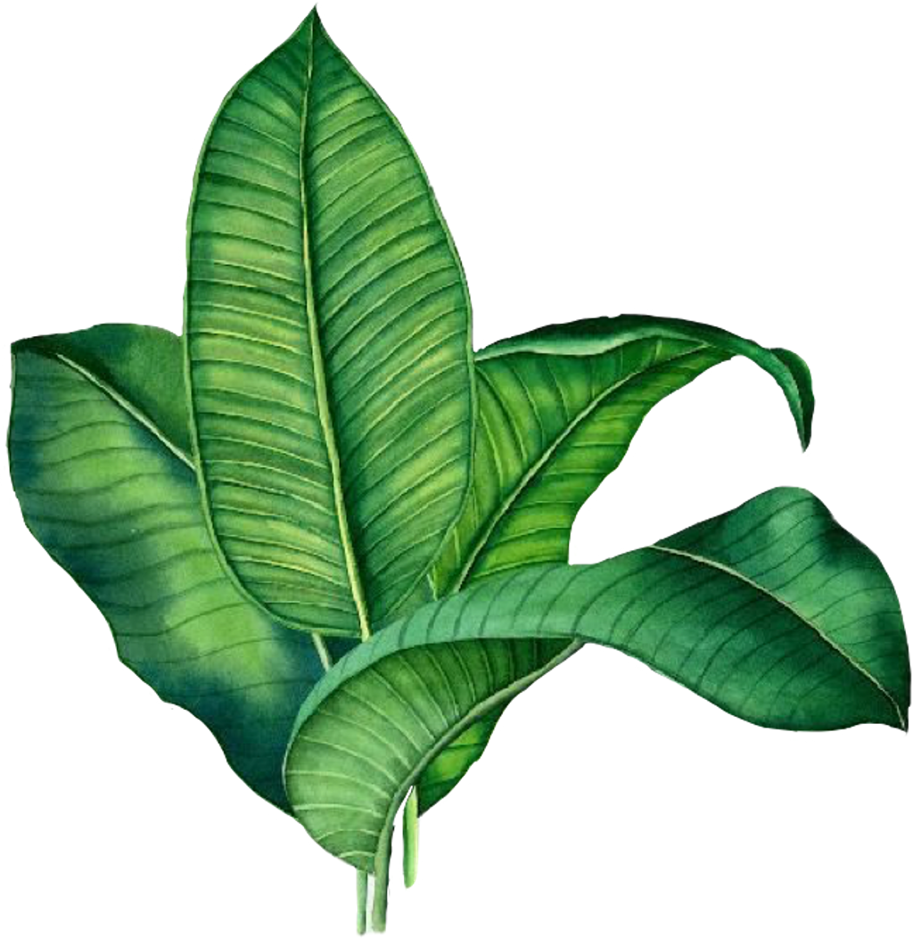 Download Sticker Sticker - Illustration PNG Image with No Background ...