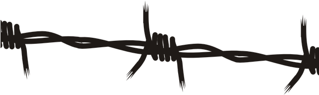 Download Barbwire Png Transparent Images - Transparent Background ...
