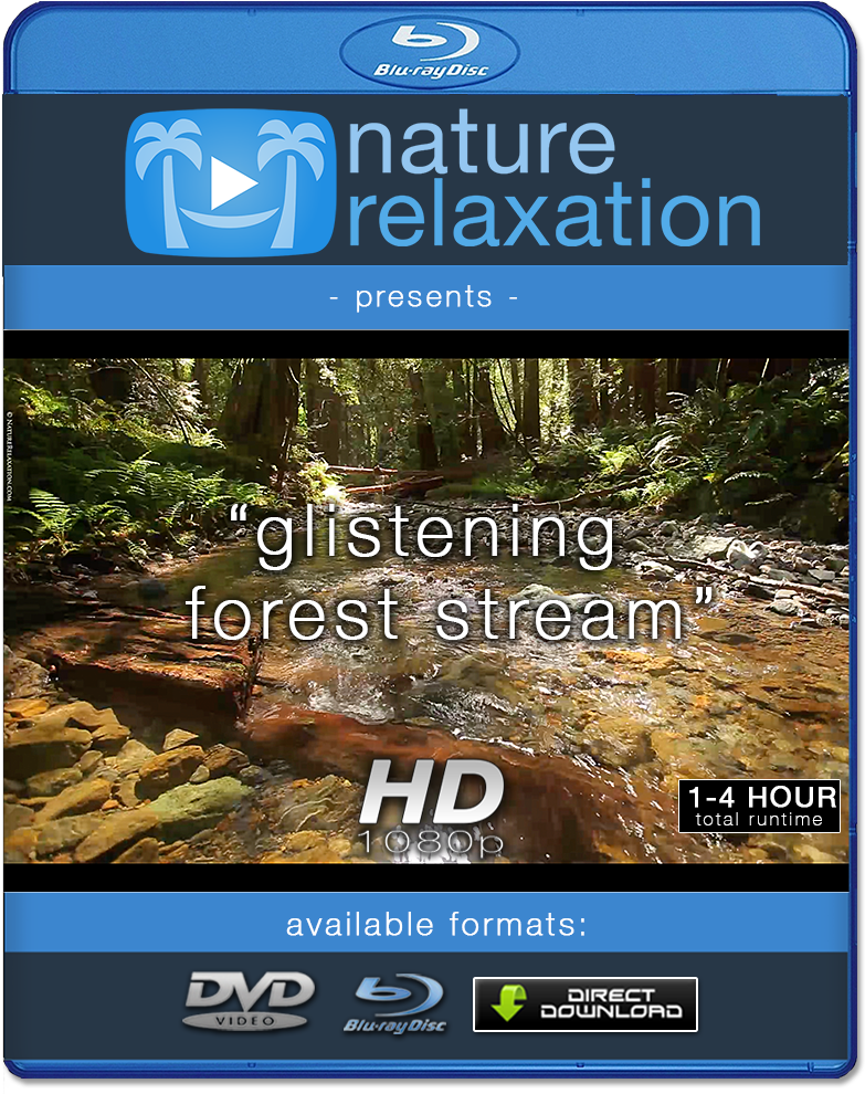 Download "glistening Forest Stream" Looping Nature Relaxation - Blu-ray ...