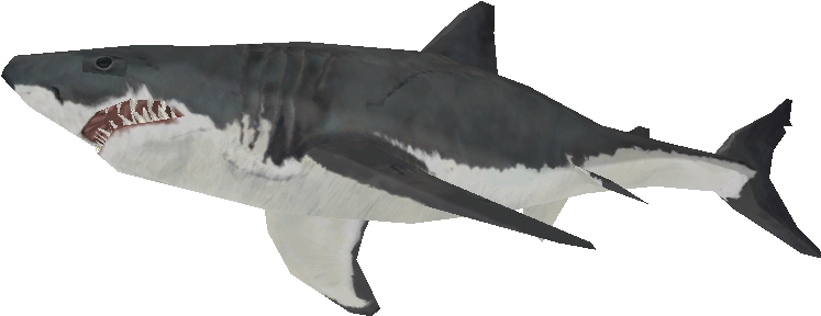 Download Download Zip Archive - Great White Shark PNG Image with No ...