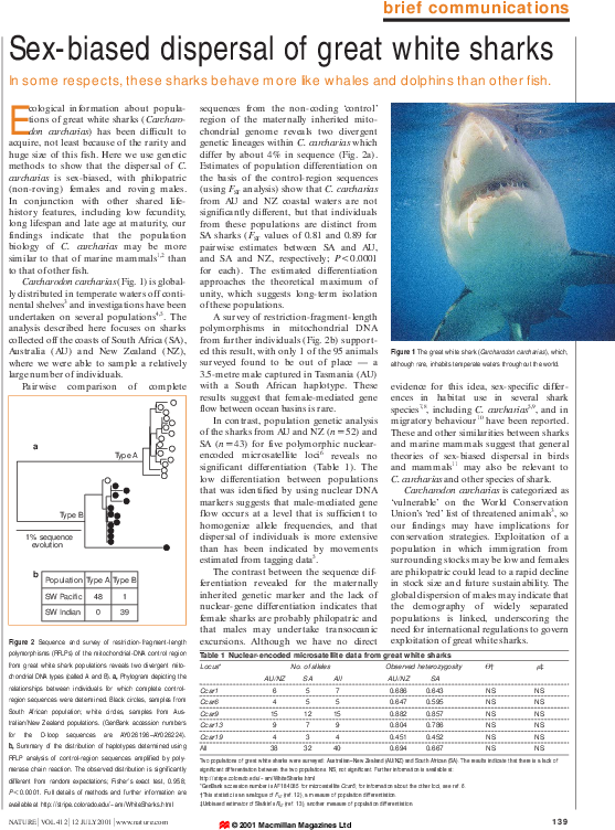 Download Pdf - Tiger Shark PNG Image with No Background - PNGkey.com